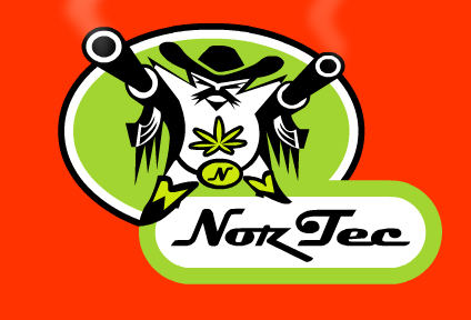 Nortec Collective | Las Ficheras