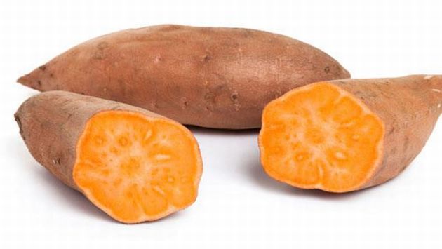 CAMOTE | Las Ficheras